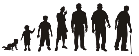 Learn about aging, epigenetic and cellular reprogramming - Ocampo Lab